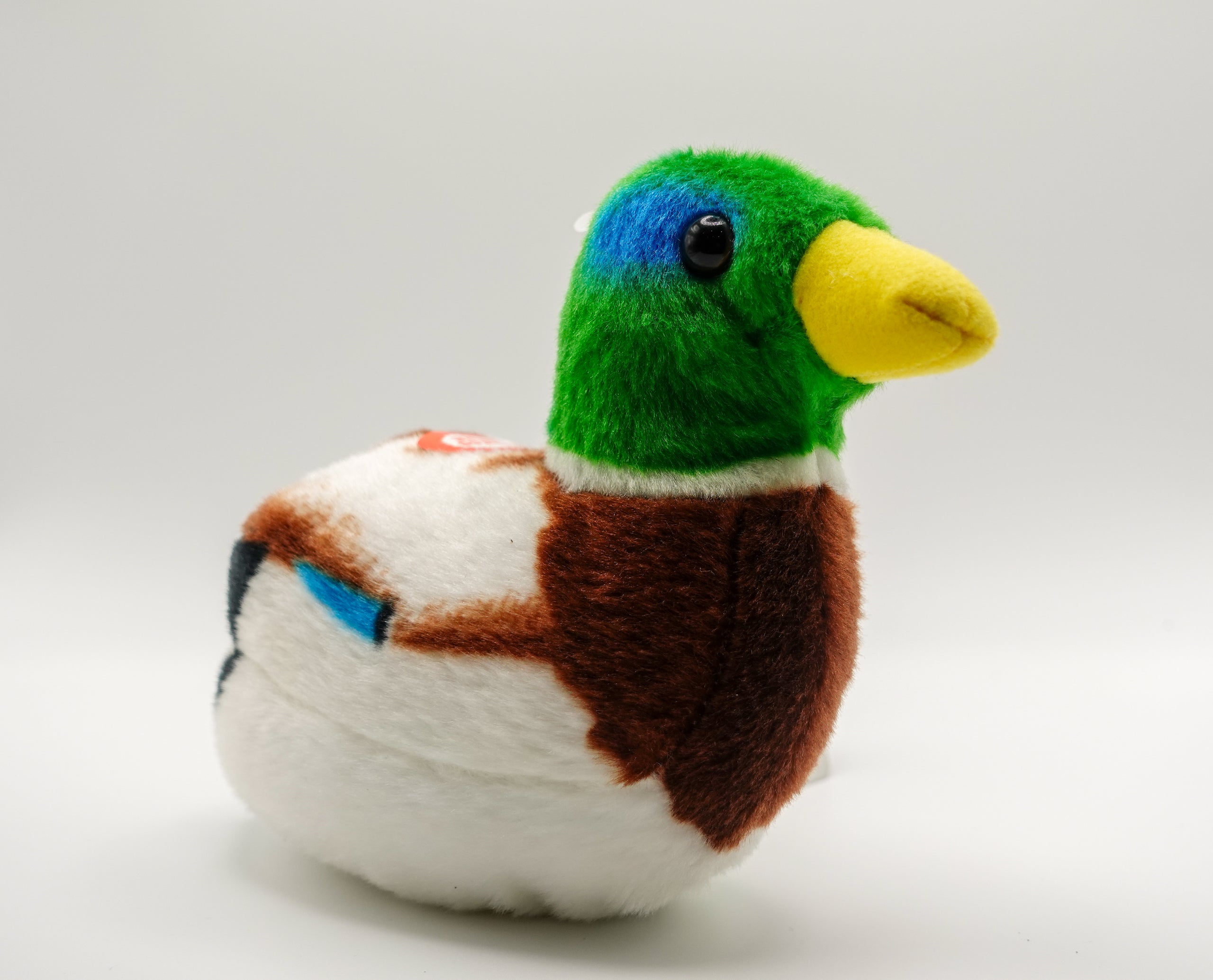 Mallard Duck Plush Toy | Cajun Encounters Merch
