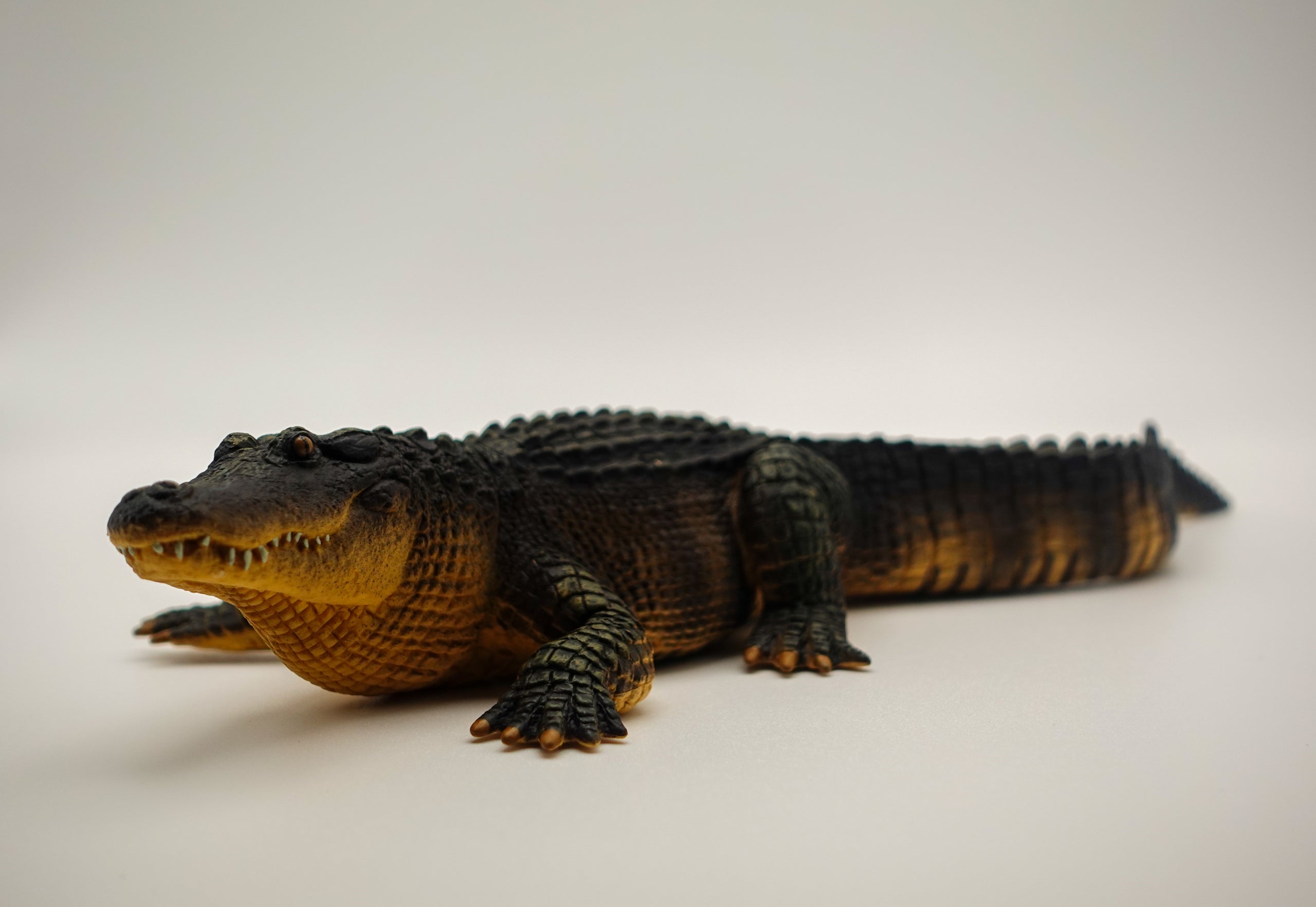 Wildlife Alligator Figurine Toy | Cajun Encounters Merch
